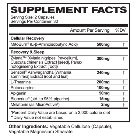 No Bake Protein Blondie Bars – Astroflav